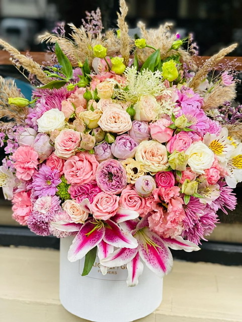 თაიგული | Taiguli